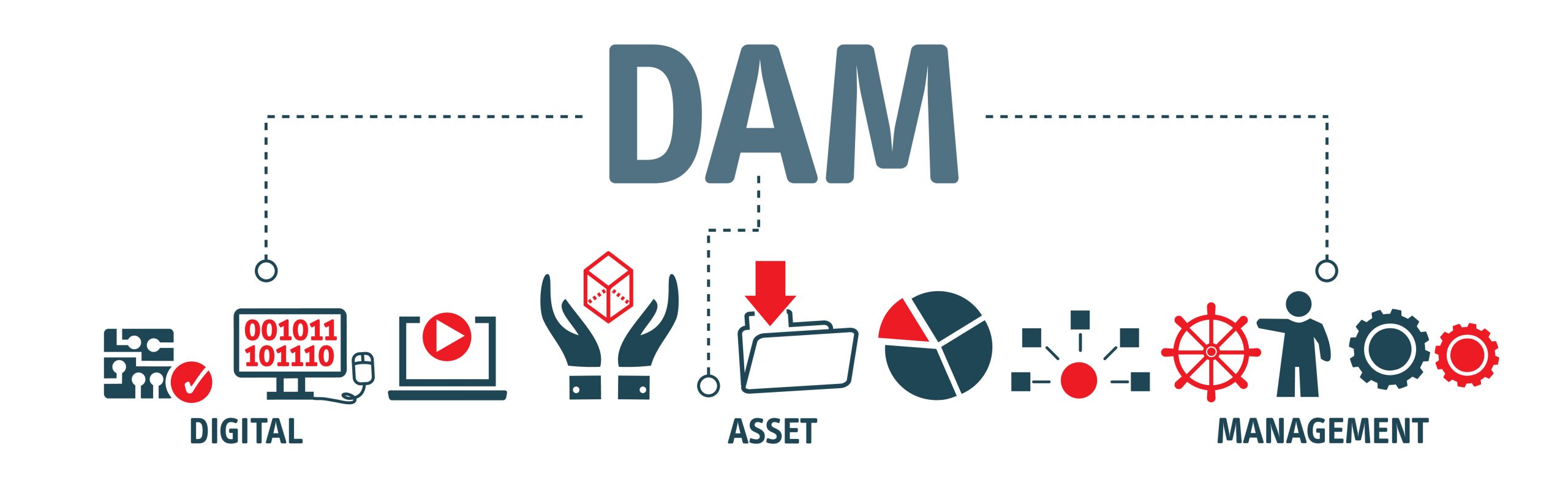 Qu’est-ce que le Digital Asset Management (DAM) - papillon-communication.fr